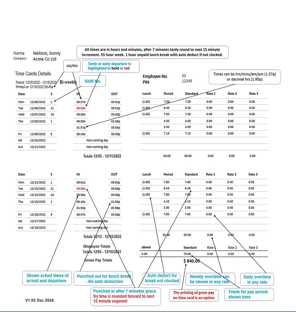 Additional SysTime software user access licenses. — SysTime Inc